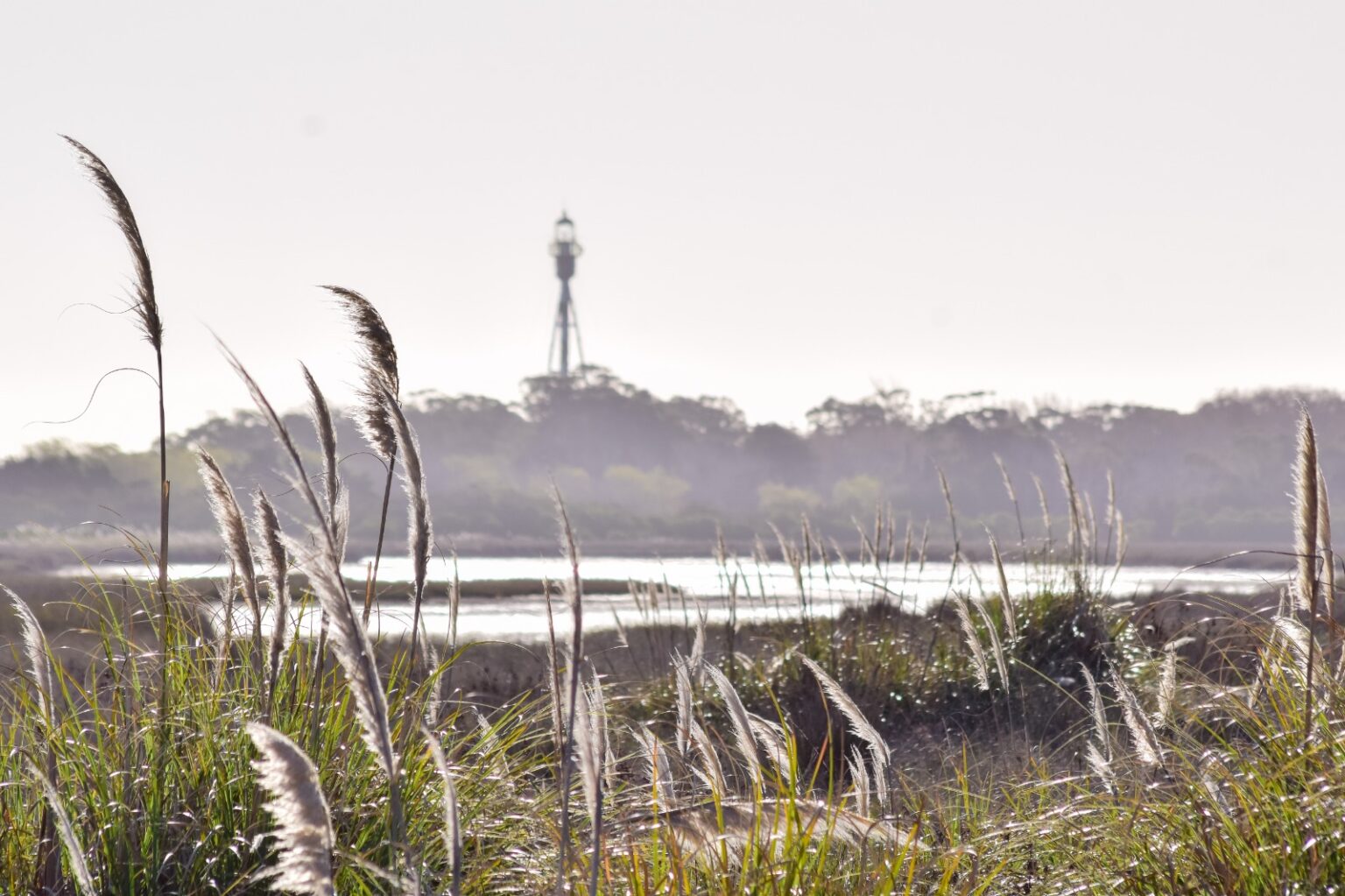 Punta Rasa – La Costa Turismo